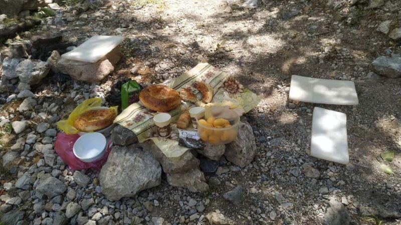 Tashkent: Tien Shan Mountains Guided Hike with Picnic - Key Points