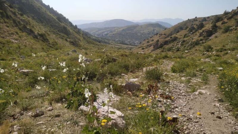 Tashkent: Tien Shan Mountains Guided Hike with Picnic - The Value of a Guided Mountain Hike