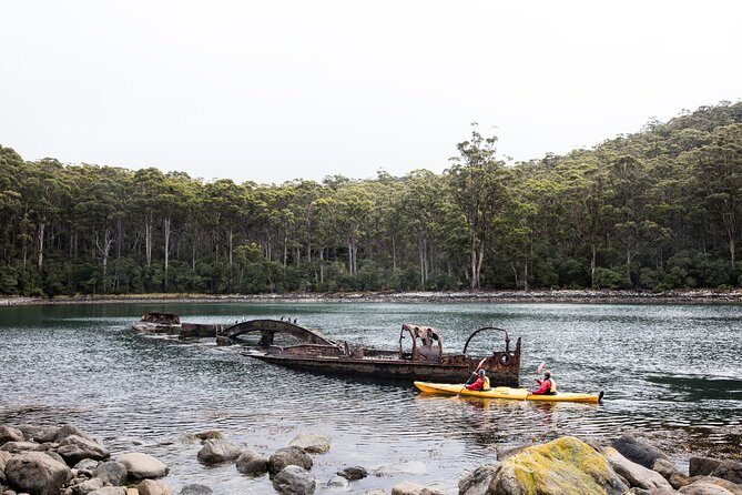 Tasman Peninsula full day kayaking tour - Who Will Love This Tour?