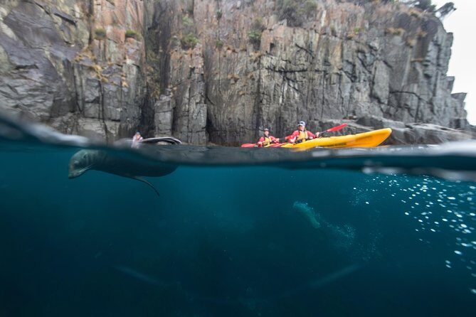 Tasman Peninsula full day kayaking tour - The Sum Up