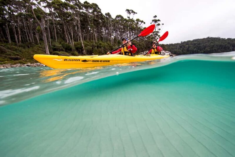 Tasman Peninsula Full-Day Sea Kayak Excursion - Who Will Love This Experience?