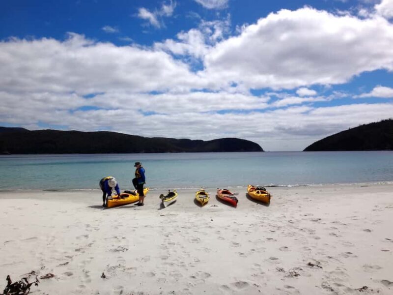 Tasman Peninsula Full-Day Sea Kayak Excursion - The Sum Up