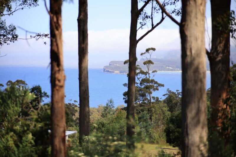 Tasman Peninsula Small-Group Guided Tour From Hobart - A Detailed Look at the Tour Experience
