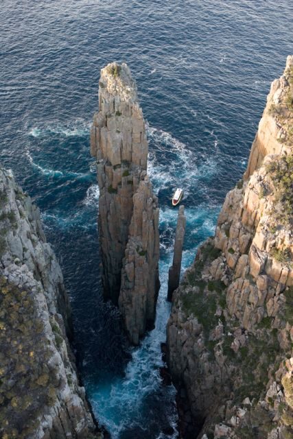 Tasman Peninsula Tour, Cruise & Port Arthur Historic Site - Practical Considerations and Tips