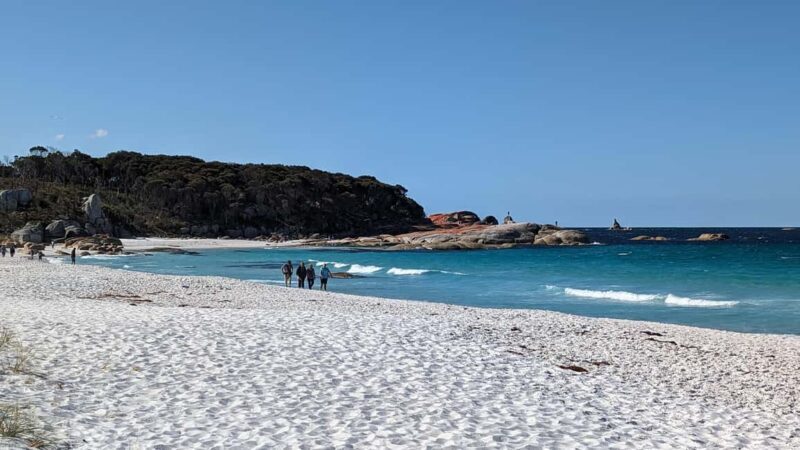 Tasmania: 6-Day Comfort Tour for Wilderness and Wildlife - Key Points
