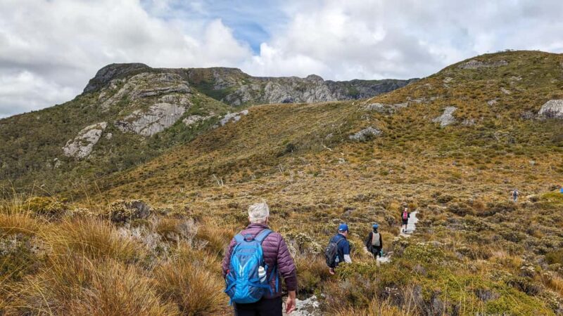 Tasmania: 6-Day Comfort Tour for Wilderness and Wildlife - Details That Matter