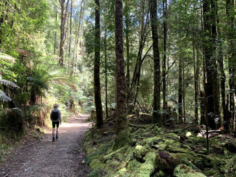Tasmania: 7-Day West to East Tour - Day 6: Wildlife Encounters and Heritage — Tasmania’s Roots