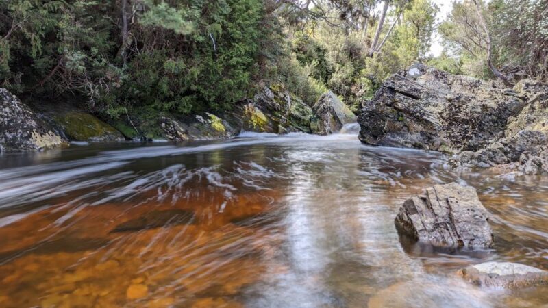 Tasmania: 7-Day West to East Tour - Transportation, Accommodation, and Value