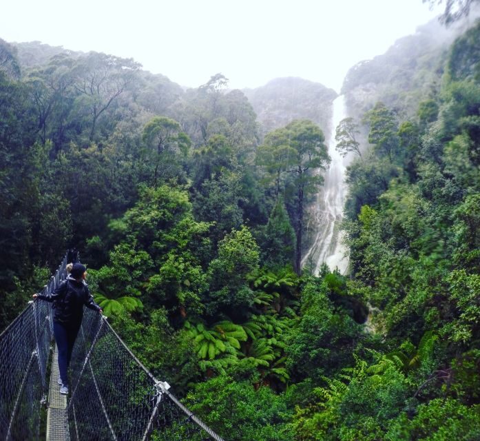 Tasmania: Wilderness and Wildlife Guided 6-Day Tour - What Makes This Tour Stand Out?