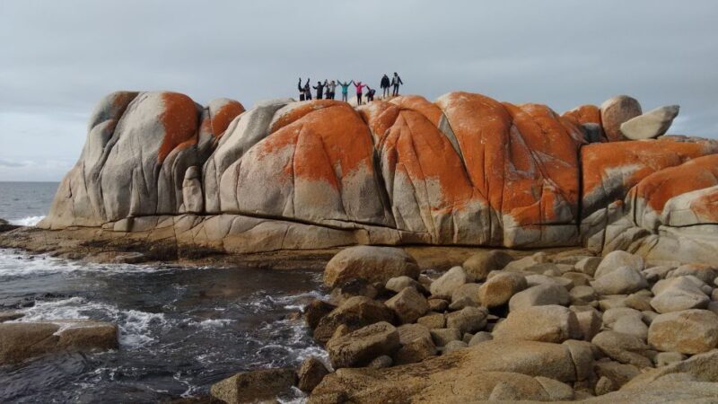 Tasmania: Wilderness and Wildlife Guided 6-Day Tour - Practical Aspects and Tips