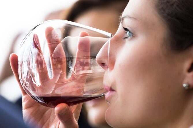 Tasmanian Premium Wine Tour with Tasmanian Cheese Platter - What the Tour Looks Like in Practice