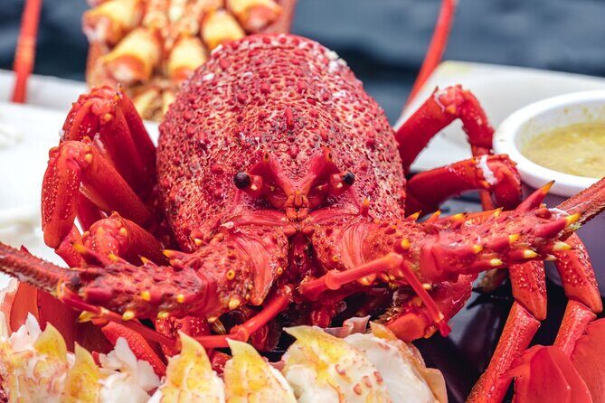 Tasmanian Seafood Gourmet Full-Day Cruise Including Lunch - Authenticity and Guest Feedback