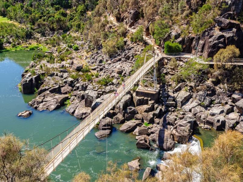 Tasmanias Cataract Gorge & Lavender Day - What Do Travelers Say?
