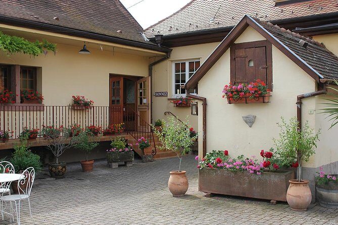 Taste Alsace: Tasting of our Alsace wines - No cellar tour - An Introduction to a Tasting in Hunawihr