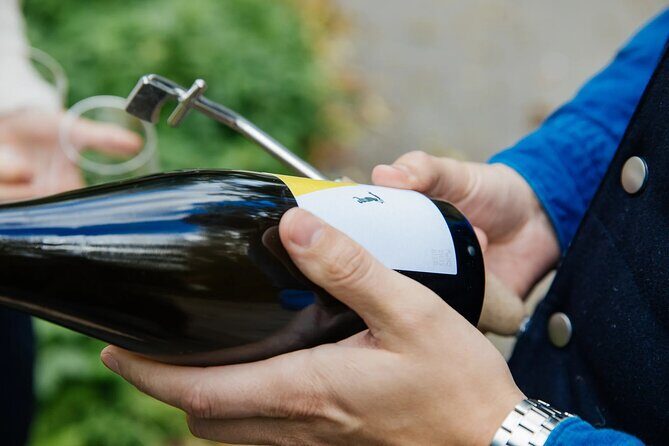 Taste and Tour Small Organic Wineries with a Winemaker - Who Should Consider This Tour?