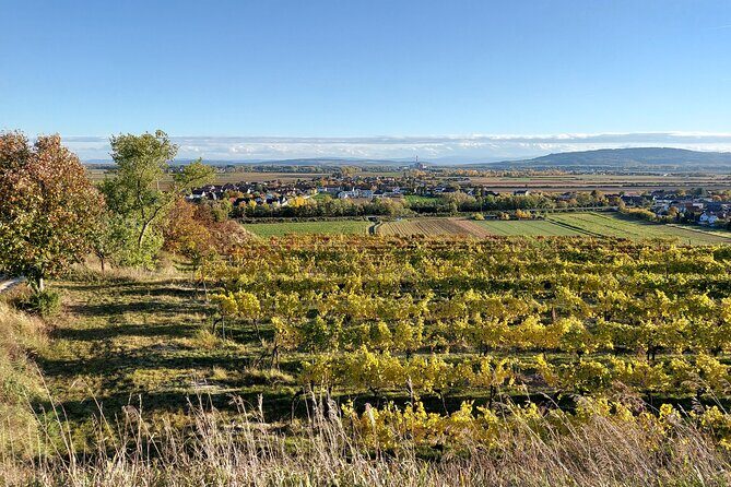 Taste and Tour Small Organic Wineries with a Winemaker - Frequently Asked Questions