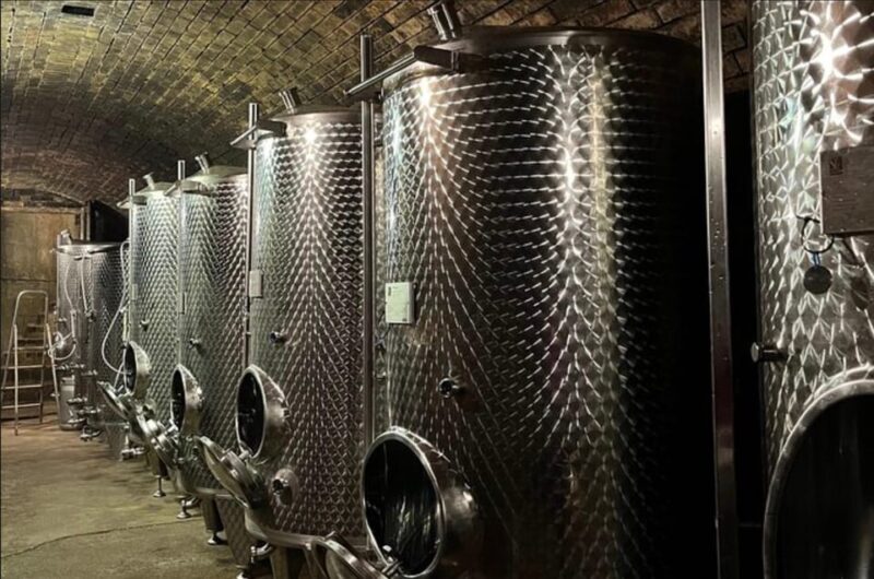 Taste and Tour Small Organic Wineries with a Winemaker - Who Should Sign Up?