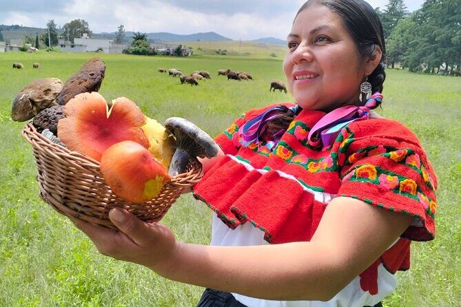 Taste and Tradition Acaxochitlán Culinary Tour from Mexico City - Review of the Taste and Tradition Acaxochitlán Culinary Tour from Mexico City