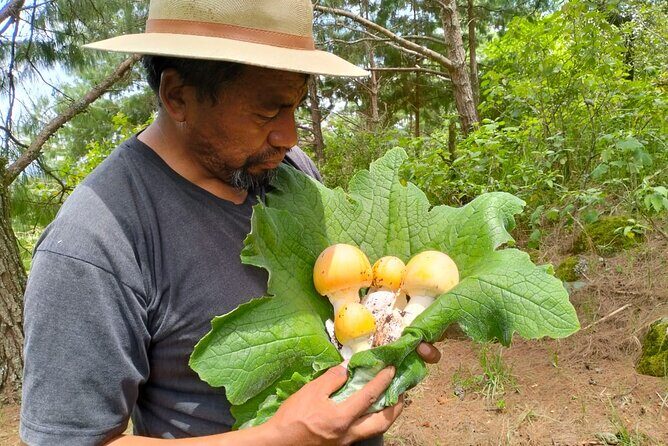 Taste and Tradition Acaxochitlán Culinary Tour from Mexico City - Key Points