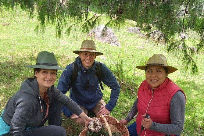 Taste and Tradition Acaxochitlán Culinary Tour from Mexico City - What Makes This Tour Valuable for Travelers?