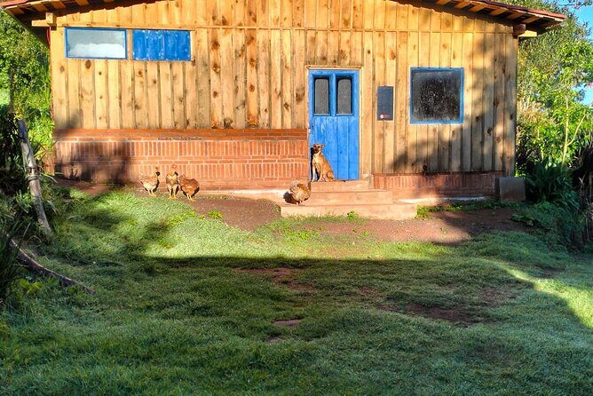 Taste and Tradition Acaxochitlán Culinary Tour from Mexico City - Final Thoughts