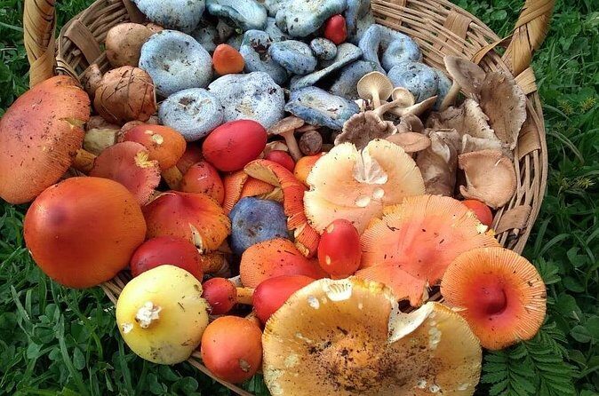 Taste and Tradition Acaxochitlán Culinary Tour from Mexico City - Frequently Asked Questions