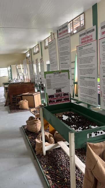 Taste & Explore Grenada: Rum, Chocolate & Spice Journey - Who Will Love This Tour?