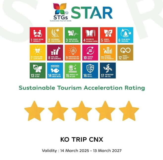 Taste of Chiang Mai: Michelin Guide Street Food Tour - Key Points