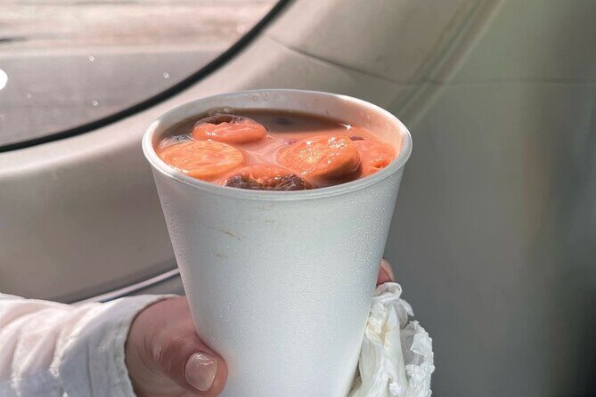 Taste of DR Street Food Tour - Who Will Love This Tour?