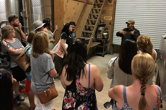 Taste of Fredericksburg Small-Group Wine Tour from San Antonio - Exploring the Itinerary: What You’ll Experience