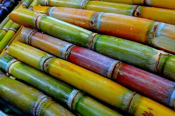 Taste of Grenada: Rum Hopping & Lunch - What Do Travelers Say?