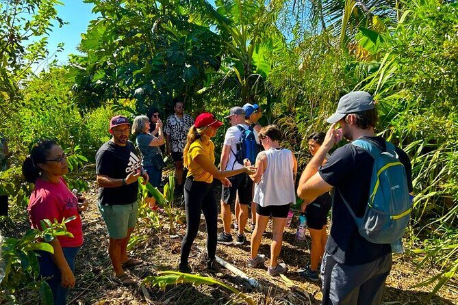 Taste of Hawaii: A Maui Farm Tour - FAQ