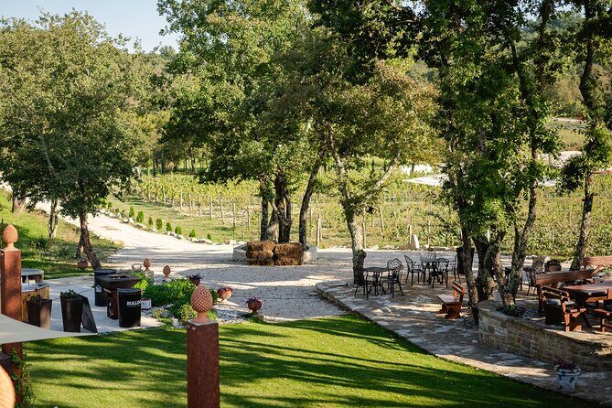 Taste of Istria - wine, brandy, vinegar, local food - Practical Details: What You Should Know