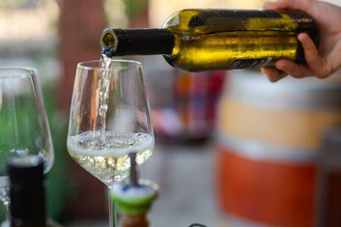 Taste of Istria - wine, brandy, vinegar, local food - Who Should Consider This Tour?