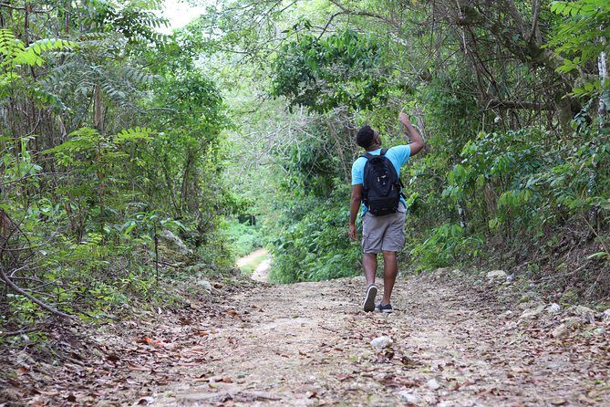 Taste of Jamaica Farm Cookout - Ending at a Private Beach and Final Moments