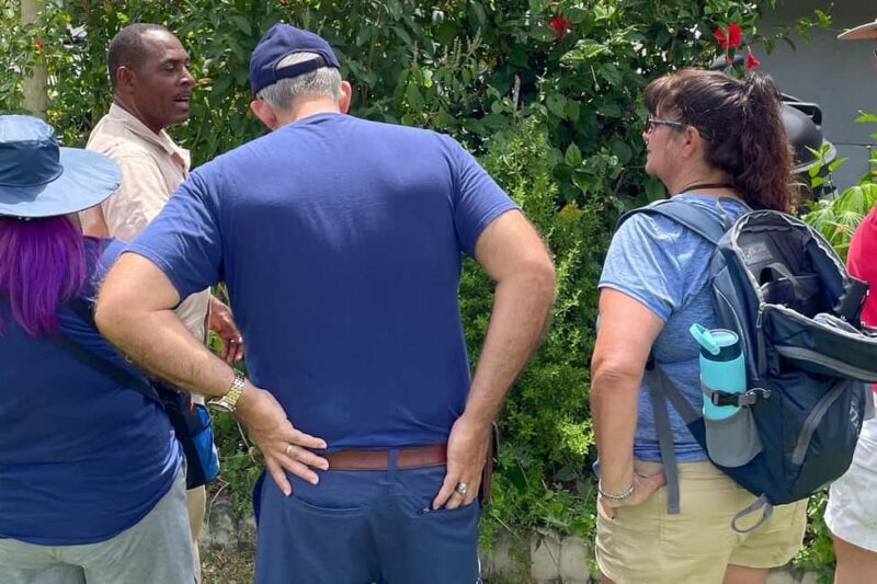 Taste of Jamaica Farm & Food Tour - An Overview of the Experience