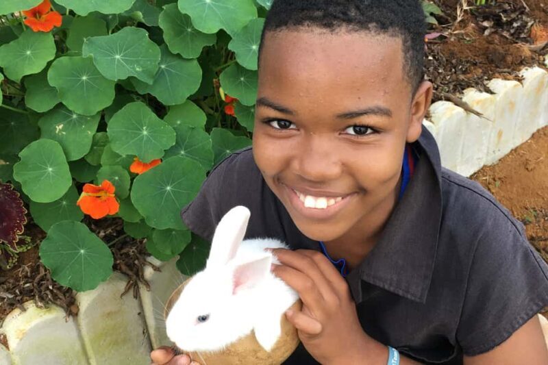 Taste of Jamaica Farm & Food Tour - The Authentic Jamaican Lunch