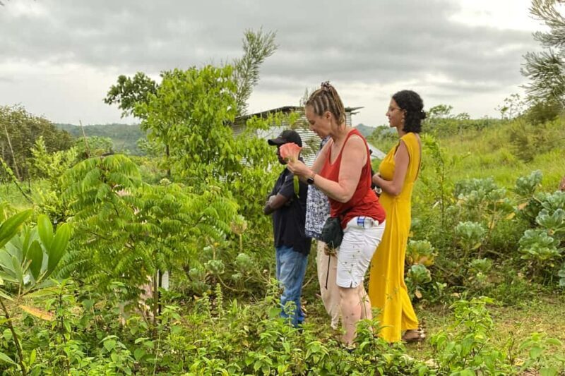 Taste of Jamaica Farm & Food Tour - Shopping for Herbal Remedies and Souvenirs