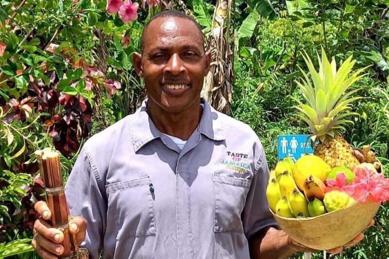 Taste of Jamaica Farm & Food Tour - What the Reviews Tell Us