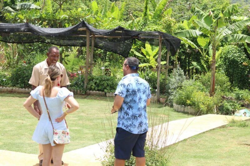 Taste of Jamaica Farm & Food Tour - FAQ