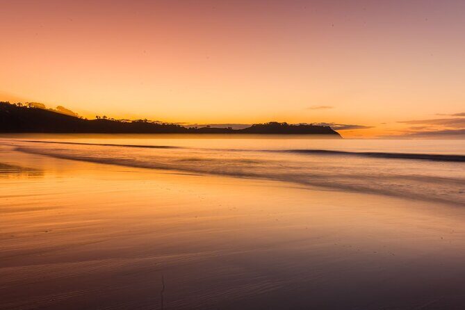 Taste of Waiheke Food and Wine Tour - Frequently Asked Questions