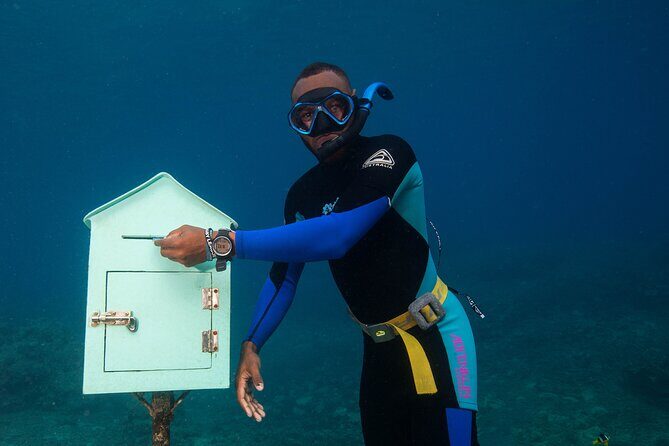 Taste See and Swim Full Day Adventure in Vanuatu - Authentic Experience vs. Tour Convenience