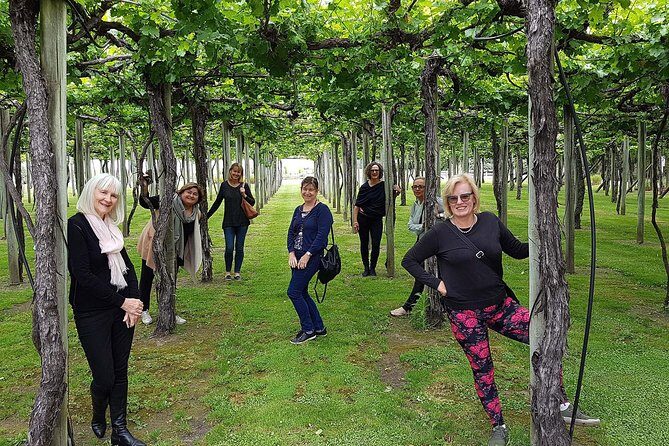 Taste the Valley Wine Tour in Marlborough with Wine Tasting - The Practical Details: Value & Logistics