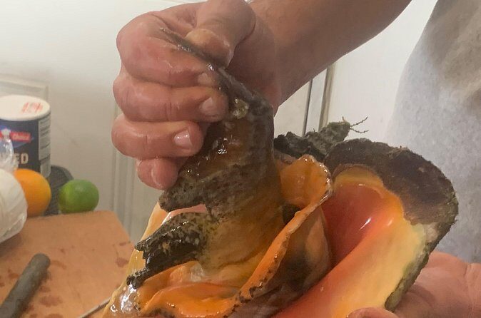 Taste Tour and Capture Nassau Island Experience with Photos - Passing the Colonial Government House