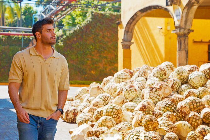 Tasted Chocolate - A Closer Look at the Tour Experience