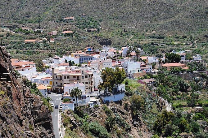 Tastes of Fuerteventura Minivan VIP Tour - An Overview of the Tastes of Fuerteventura Minivan VIP Tour
