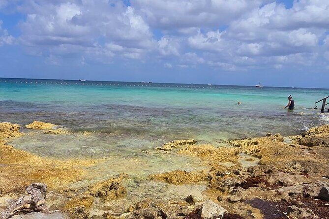 Tastes of Mexico Traditional Food Culture and Beach in Cozumel - Into the Heart of Mayan Heritage: Villa Maya and the Organic Tastings
