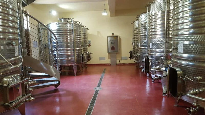 Tasting and tour of the winery - The Sum Up: Who Should Consider This Tour?