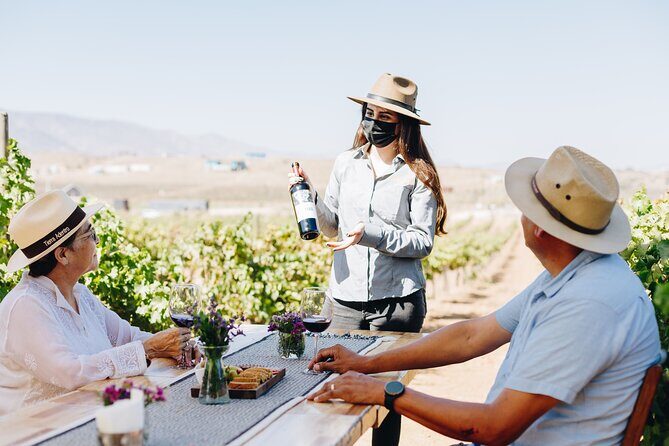 Tasting and tour through the vineyard - Introduction: A Quiet Escape in Ensenada’s Wine Country