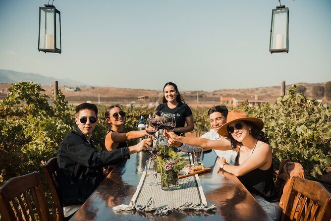 Tasting and tour through the vineyard - The Value of the Experience